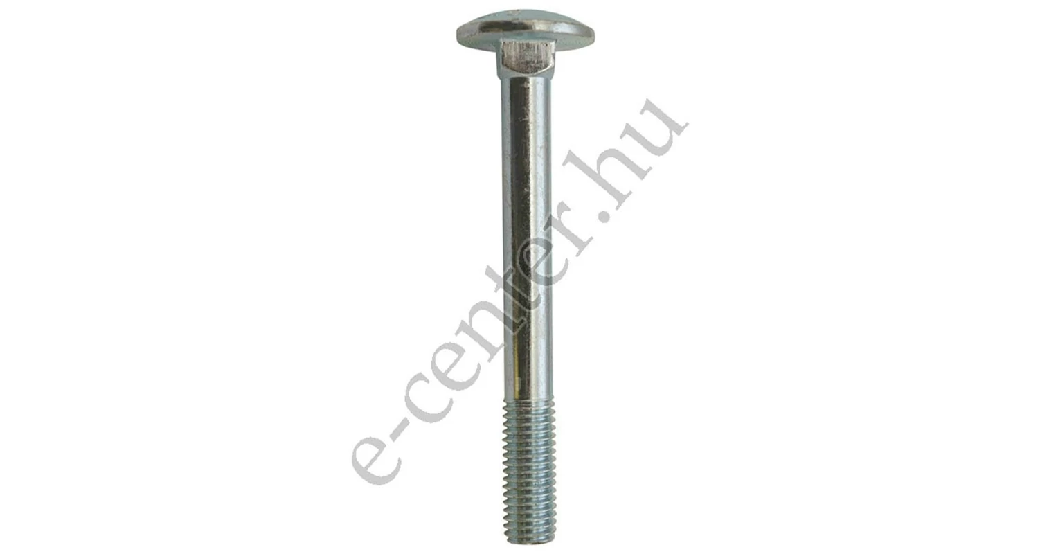 Kapupánt csavar M12x170